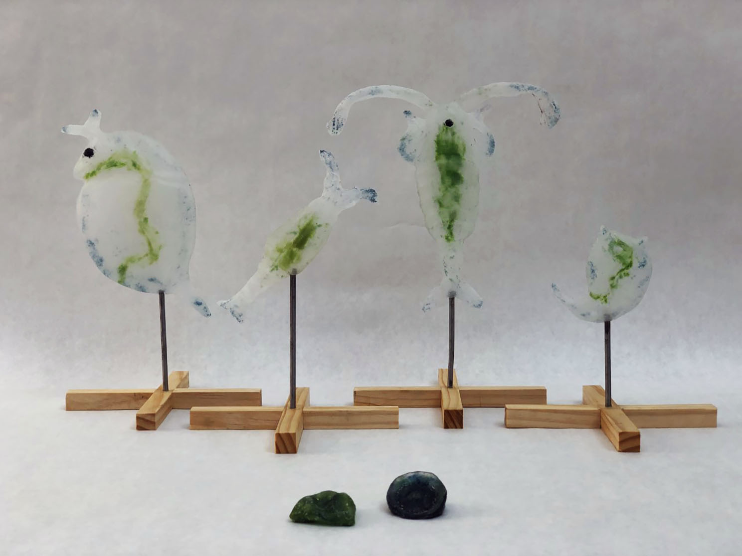 What Goes Around by Amber Mans - Water@UW-Madison